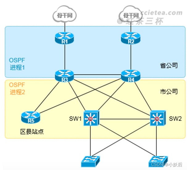 OSPF进程号的意义及多进程OSPF-CSDN博客