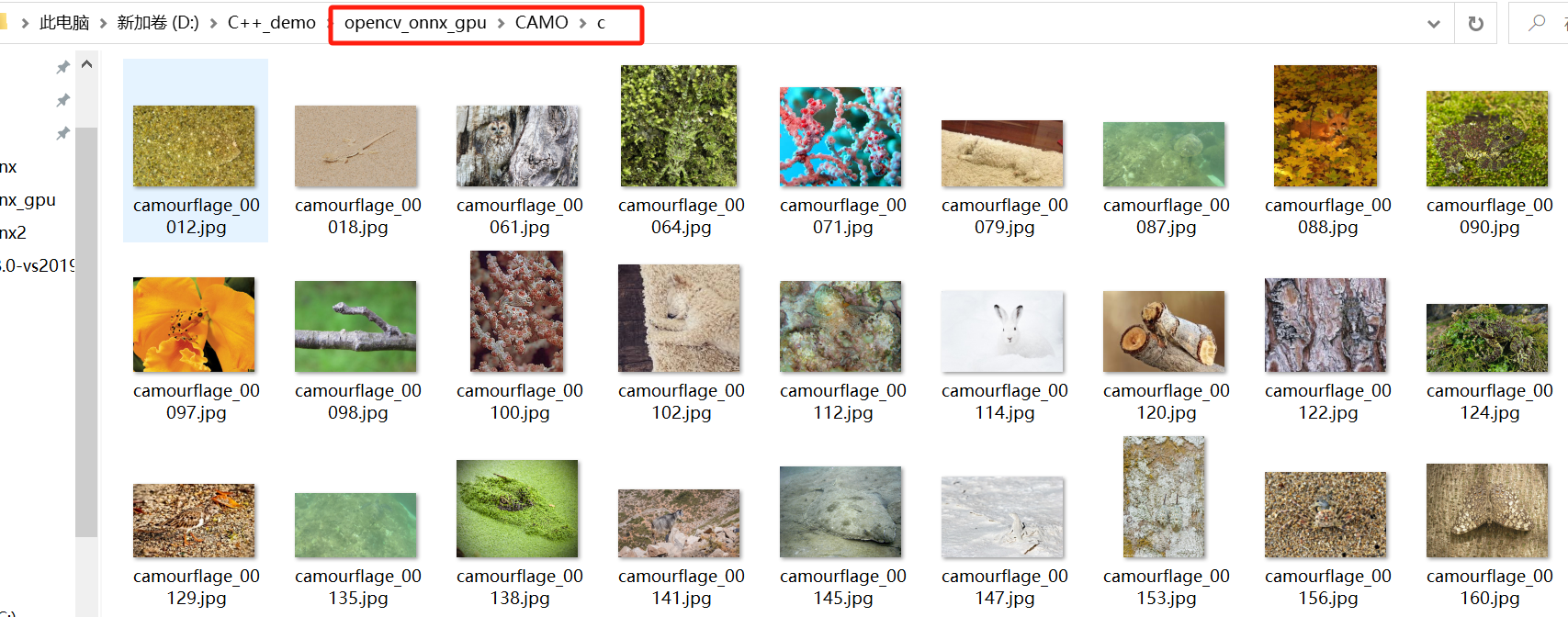 【深度学习】【Opencv】【GPU】python/C++调用onnx模型_c++ 调用onnx模型-CSDN博客