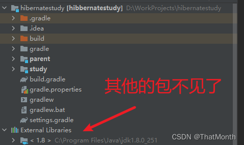 解决IDEA项目external libraries依赖包消失的问题_idea external libraries-CSDN博客
