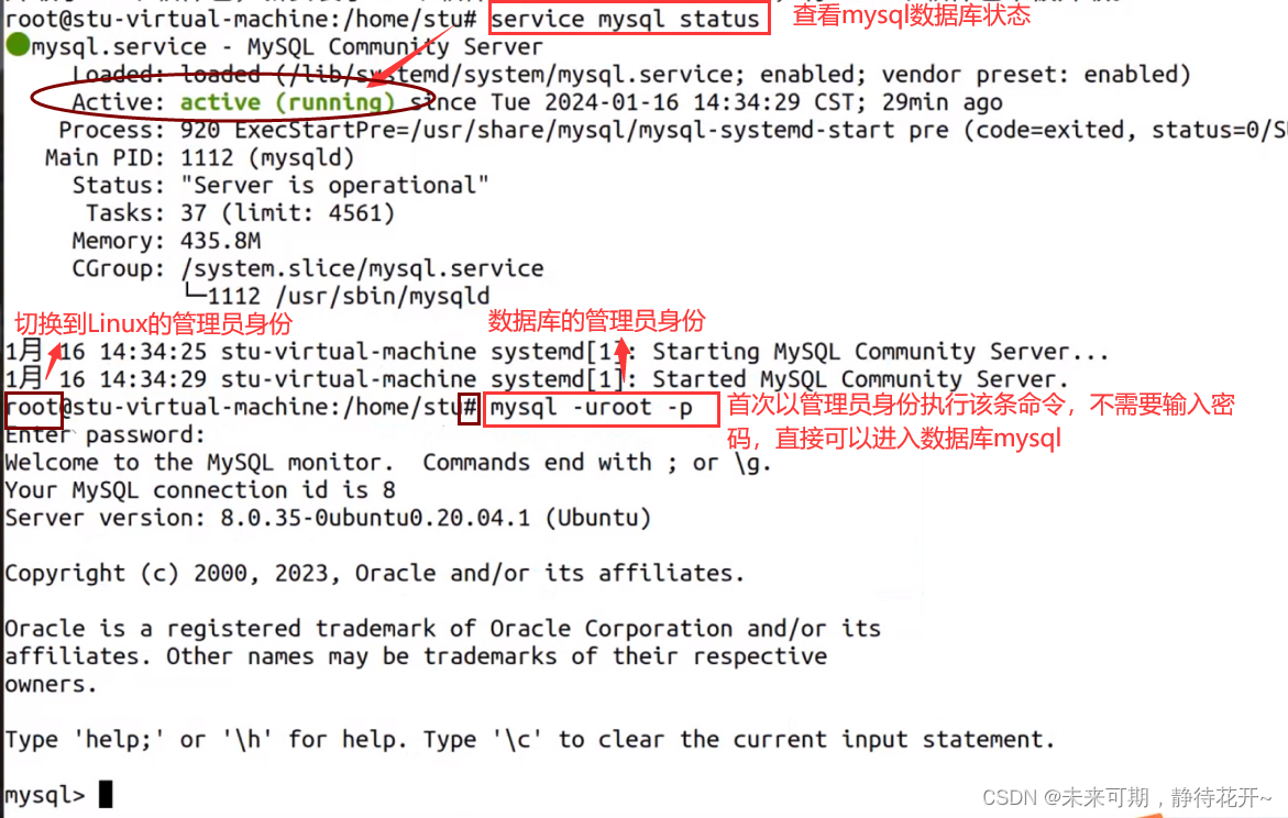 Mysql数据库（一）：数据库介绍与安装数据库概述与mysql安装篇 Csdn博客