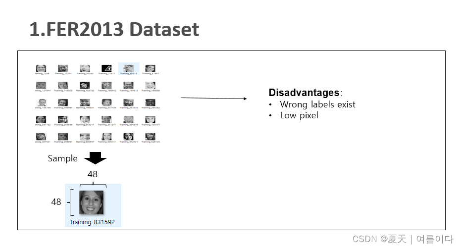 数据集 基于计算机视觉的情绪识别数据集_fer数据集-CSDN博客