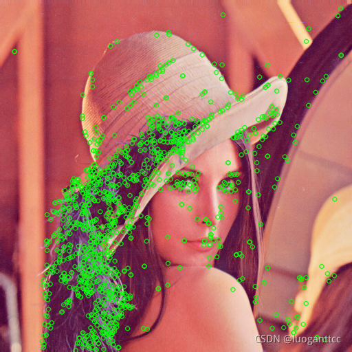 OpenCV-Python Feature2D 特征点检测 (SIFT,SURF)_c++_luoganttcc-CSDN学习社区