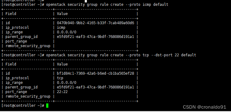 云计算：OpenStack 分布式架构管理VXLAN网络（单控制节点与多计算节点）_openstack vxlan-CSDN博客