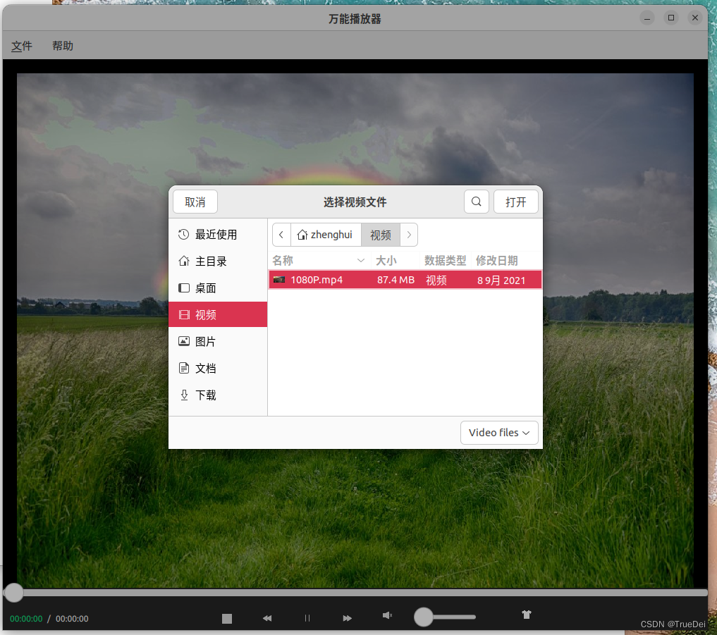 QT + FFmpeg 5.x + x264 + x265 + SDL2 音视频播放器_x265播放器-CSDN博客