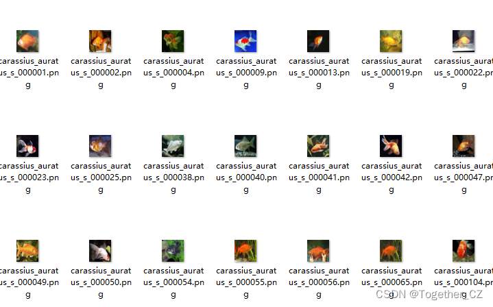 基于轻量级神经网络GhostNet开发构建CIFAR100数据集场景下的图像识别分析系统，对比不同分辨路尺度下模型的性能情况-CSDN博客