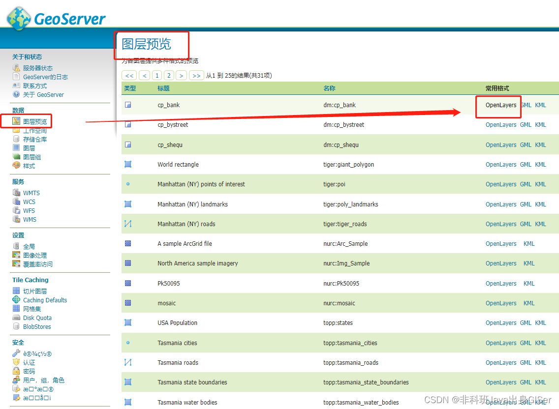 达梦数据库（DM8）集成使用 Geoserver（2.22.2） 以及其他对应版本详解_geoserver 达梦数据库-CSDN博客