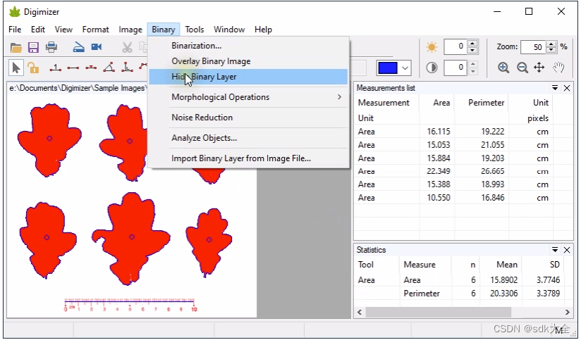 DICOM图像分析软件 Digimizer 6.2.0 Crack-CSDN博客