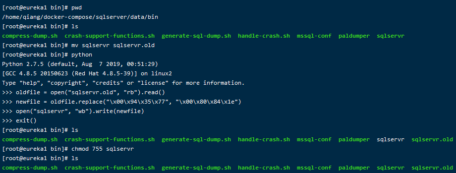 docker启动sqlserver_Docker搭建SQLServer-CSDN博客