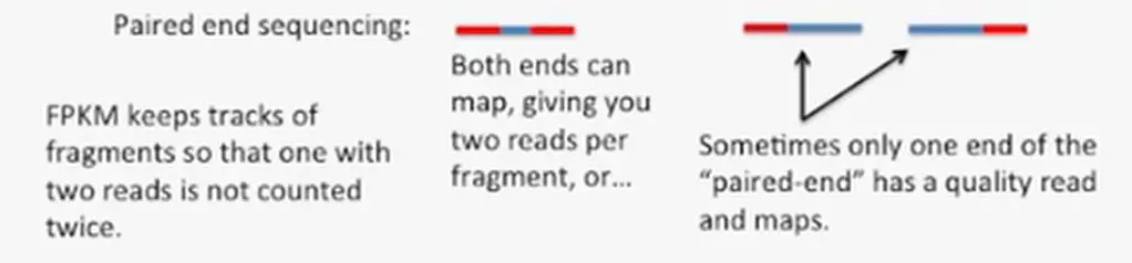 RPKM、FPKM 和 TPM cpm-CSDN博客