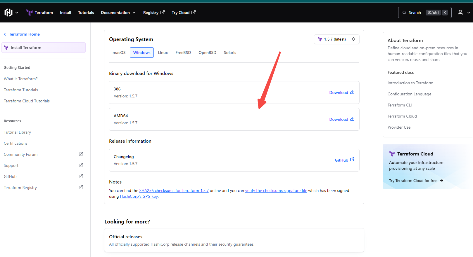 terraform简单的开始-安装和一些配置_terraform windows-CSDN博客