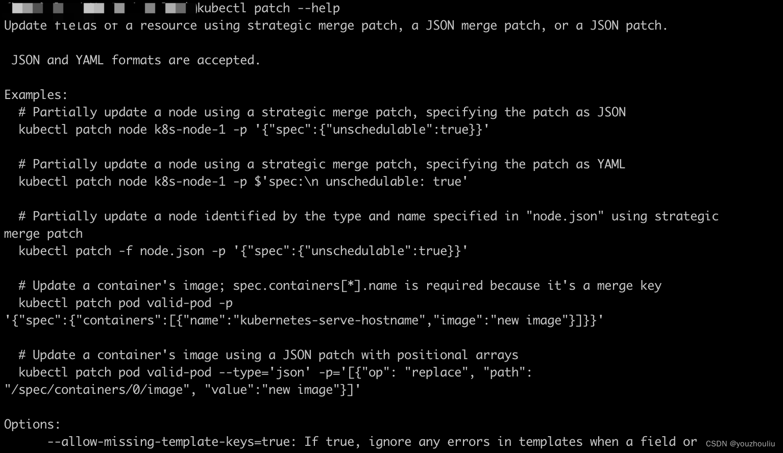 kubectl 命令详解（十二）：patch_kubectl patch-CSDN博客