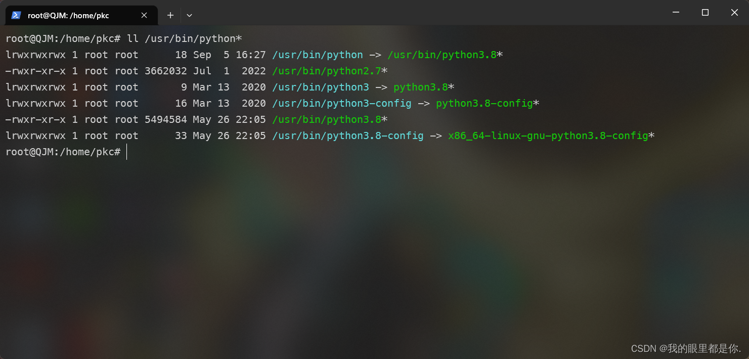 修改linux中默认的python版本怎么更改linux里python的版本为38 Csdn博客