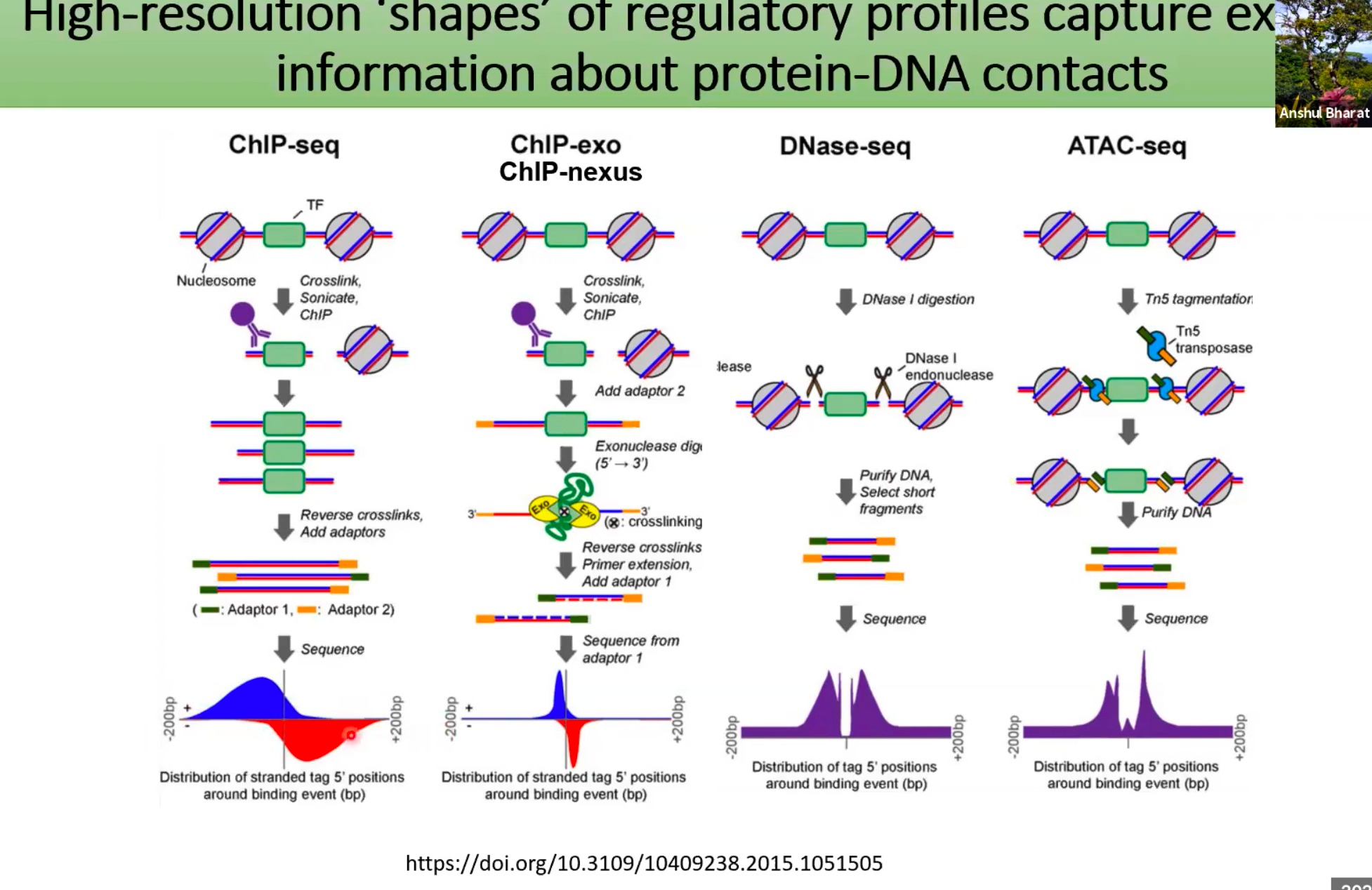 【Regulatory Genomics】Part2 BPNet、DeepLIFT-CSDN博客
