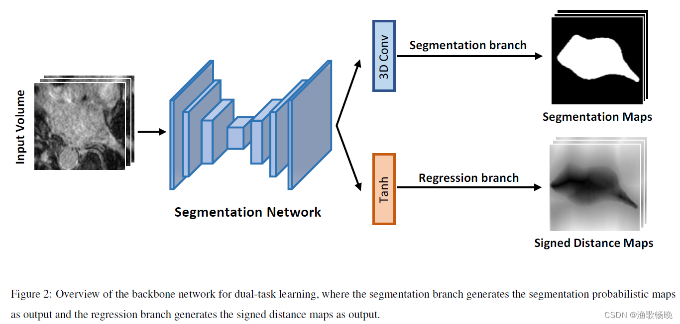 论文解读《Uncertainty-Guided Mutual Consistency Learning for Semi-Supervised Medical Image ...
