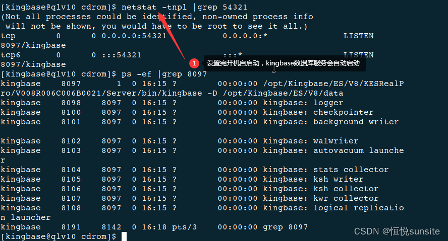 银河麒麟系统下安装Kingbase数据库_麒麟操作系统安装kingbase-CSDN博客