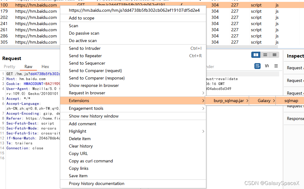 BurpSuitePro Montoya API 开发插件_sqlmap-CSDN博客