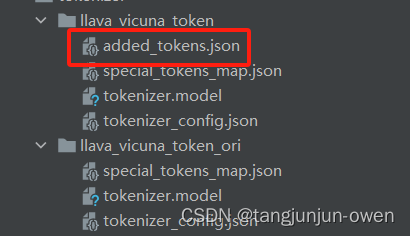 tokenizer添加token的详细demo_vicuna 增加token-CSDN博客