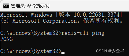 部署SmartAdmin项目时出现的问题（Windows网页报错redis异常，无法连接到 redis）及解决方法和心得-CSDN博客