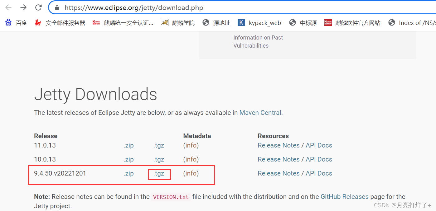 银河麒麟服务器操作系统V10SP2安装Jetty_银河麒麟v10 jdk11下载-CSDN博客