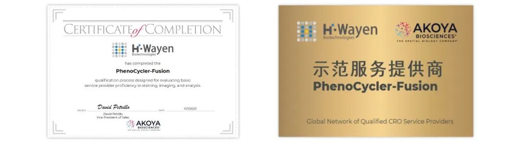 phenocycler（原CODEX）应用案例集锦-CSDN博客