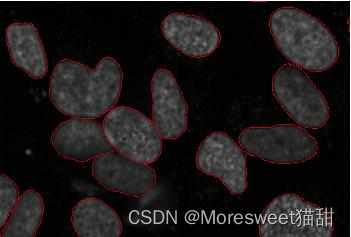 图像分割技术及经典实例分割网络Mask R-CNN（含基于Keras Python源码定义）_图像分割网络-CSDN博客