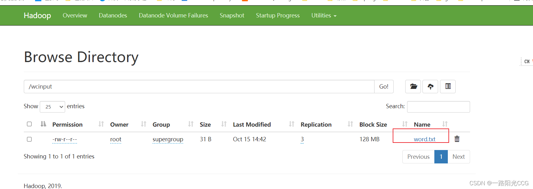 Hadoop基本操作 002info Saslsasldatatransferclient Sasl Encryption Csdn博客