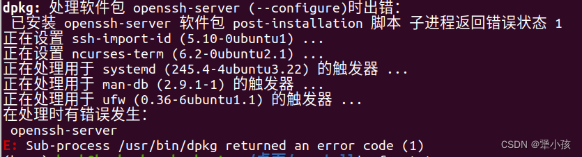 【BUG】 ssh安装出错：在处理时有错误发生： openssh-serverE: Sub-process /usr/bin/dpkg returned an error code (1 ...
