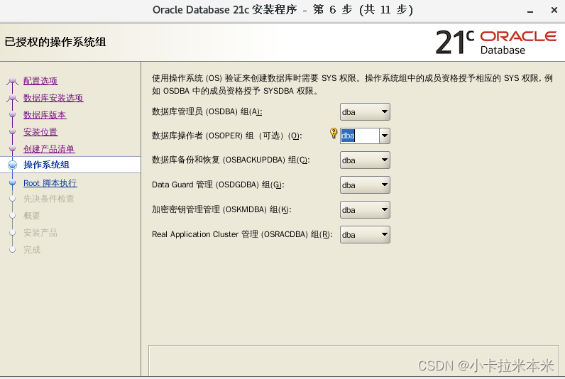 Linux 安装oracle 21c_oracle21c数据库linux下载安装-CSDN博客