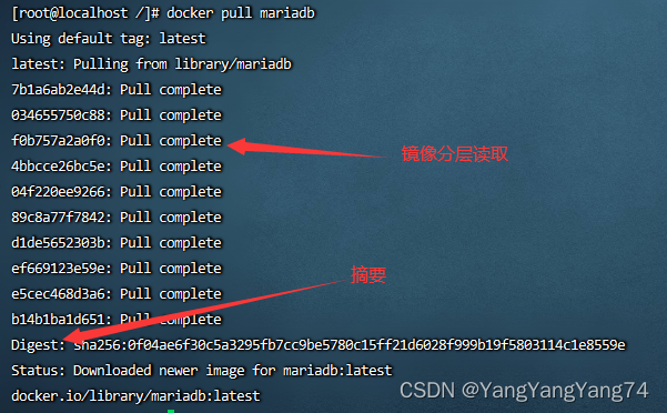 Docker基础操作指南：命令、镜像管理与容器生命周期,-CSDN博客