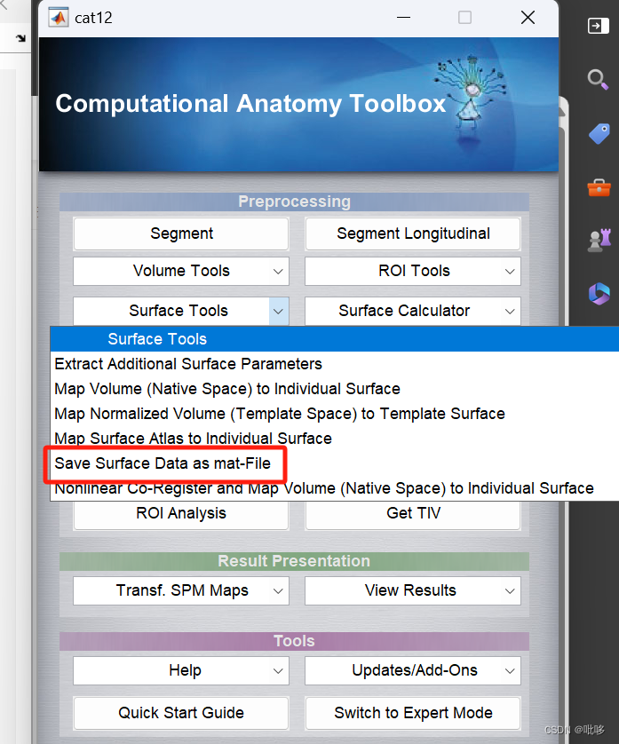 cat12做皮层分析后提取每个顶点的数值以及绘图-CSDN博客