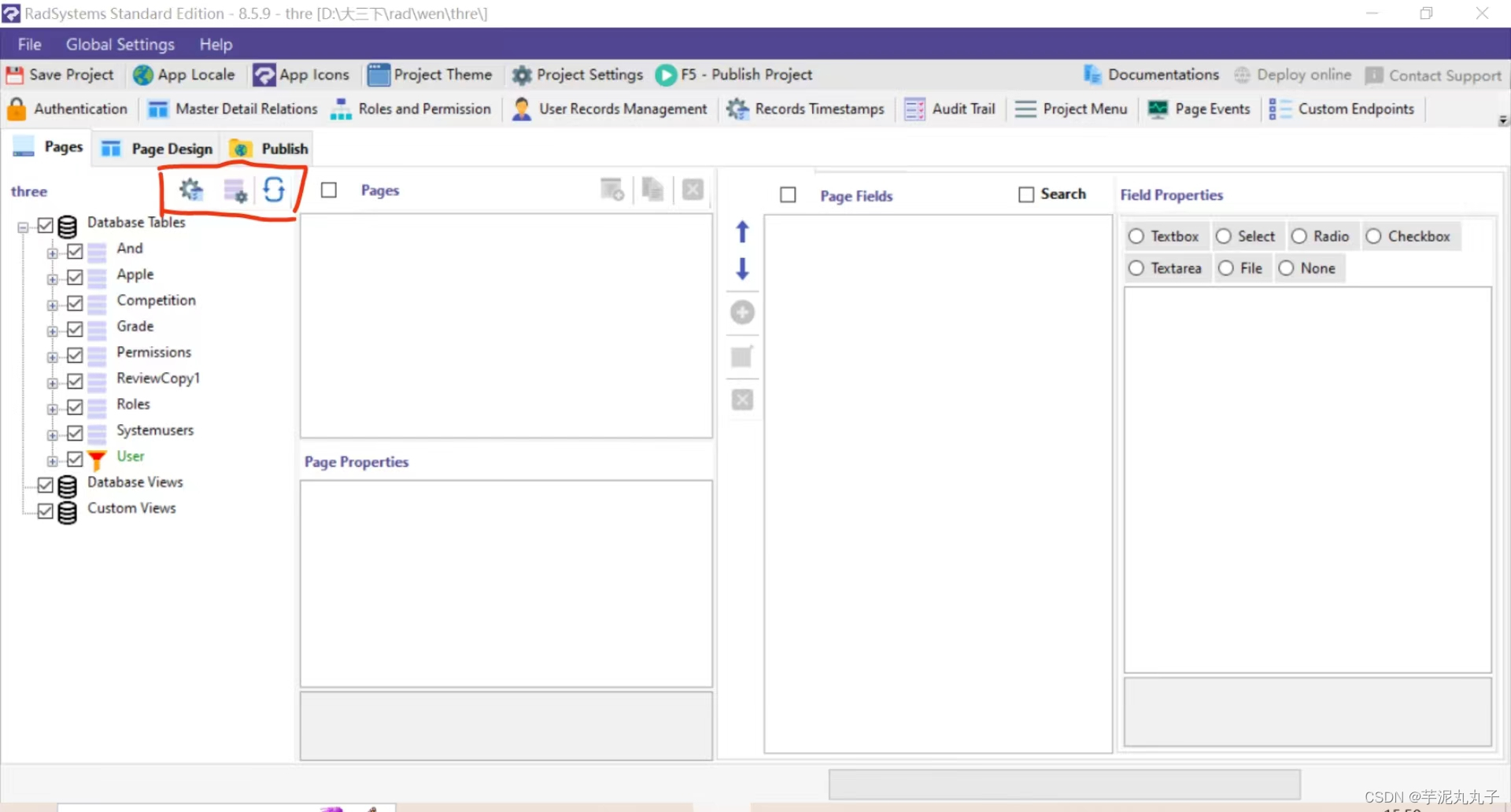 radsystems教程的基本使用之基本使用_radstudio开发教程-CSDN博客