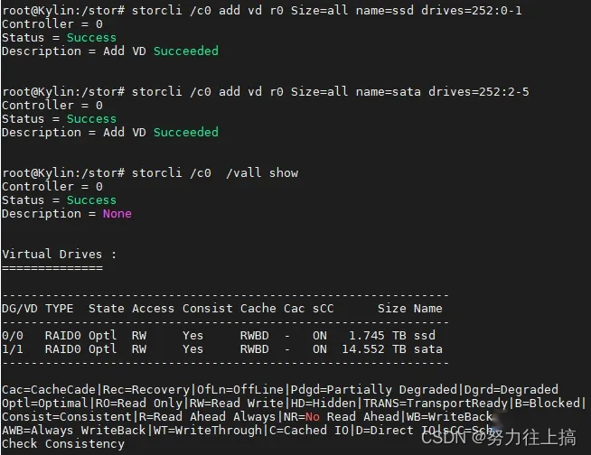 使用storcli/storcli64工具配置RAID-CSDN博客