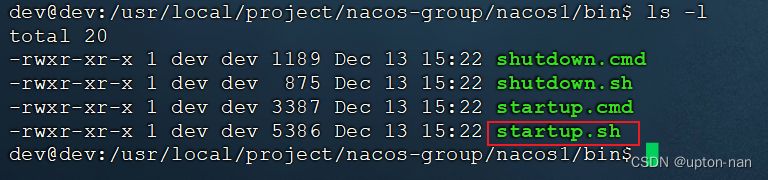 如何在Ubuntu的Linux系统上搭建nacos集群_ubuntu nacos-CSDN博客
