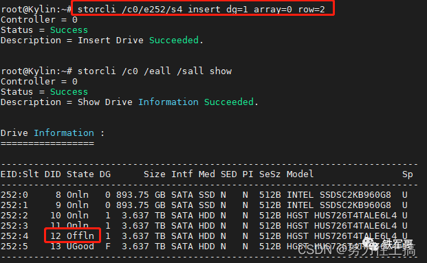 使用storcli/storcli64工具配置RAID-CSDN博客