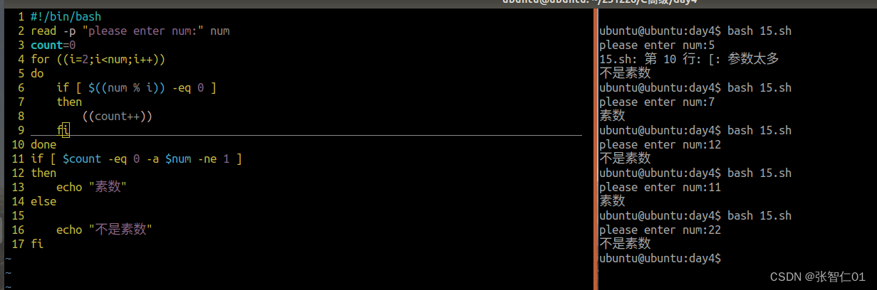 C高级day4-CSDN博客