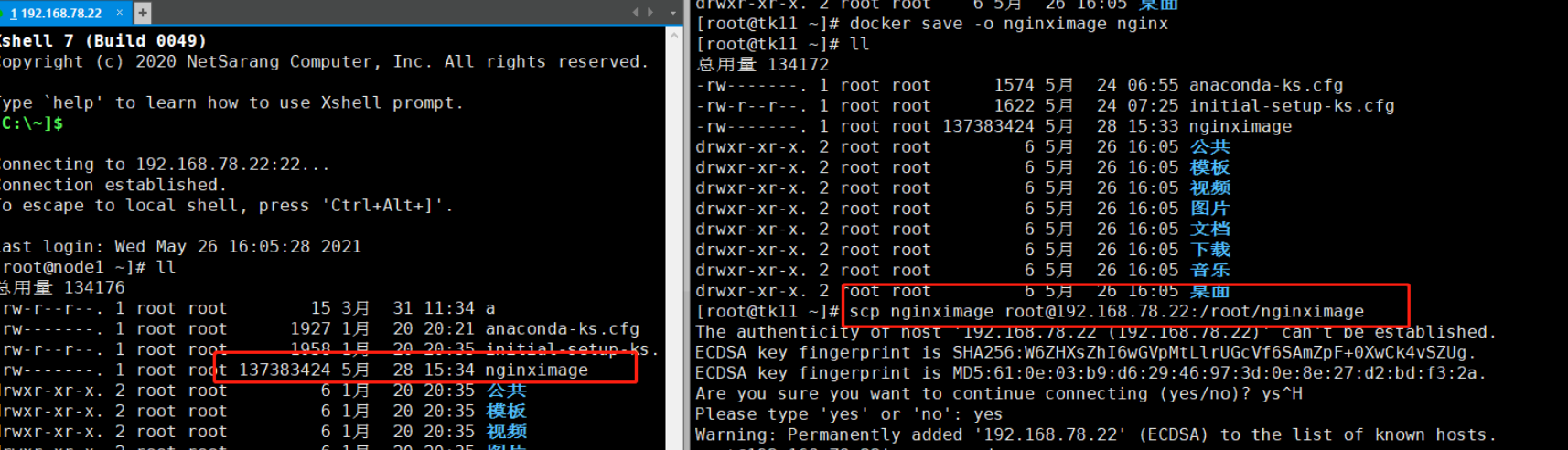 Docker 基本操作 详细讲解_docker mailu-CSDN博客