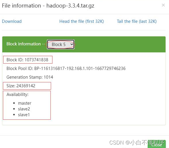 HDFS的shell操作_hadoop删除目录命令-CSDN博客