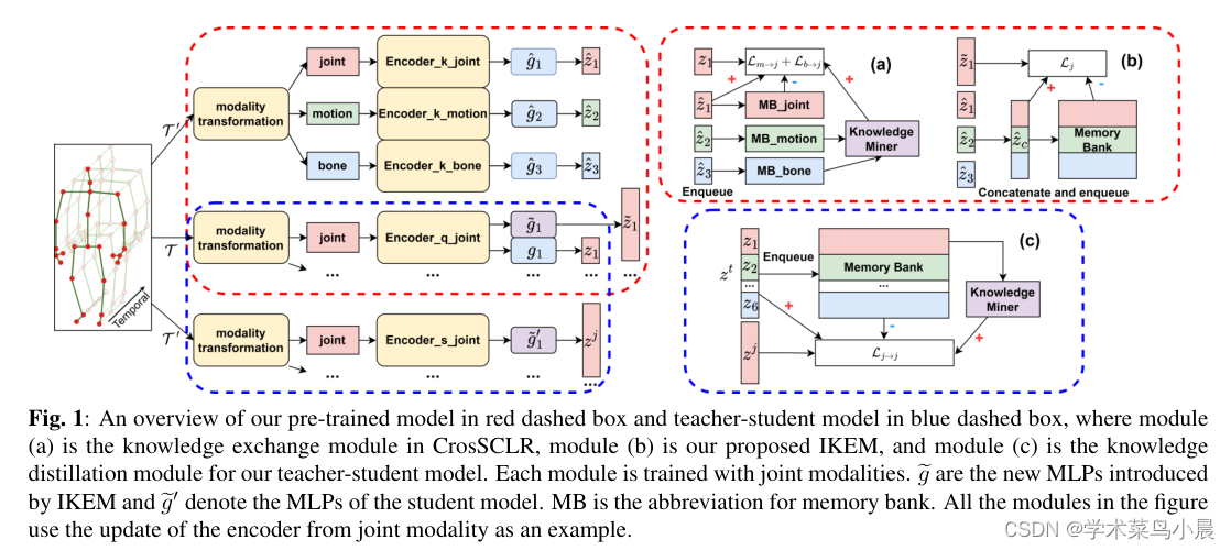 基于骨架的人体动作识别:Elevating Skeleton-Based Action Recognition with Efficient Multi-Modality Self ...