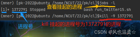 Linux中Ctrl+C和Ctrl+Z的区别_实战讲解(超详细)_linux ctrl c和ctrl z-CSDN博客