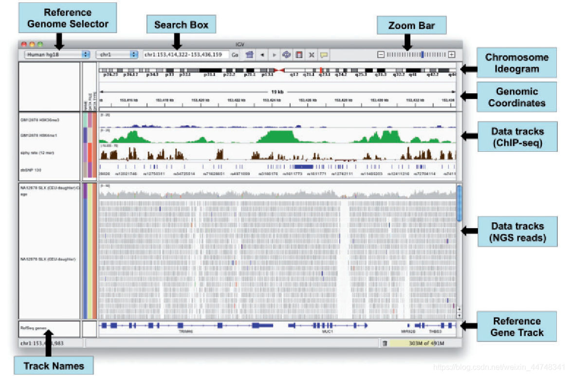 高通---IGV：从安装到使用_igv使用-CSDN博客