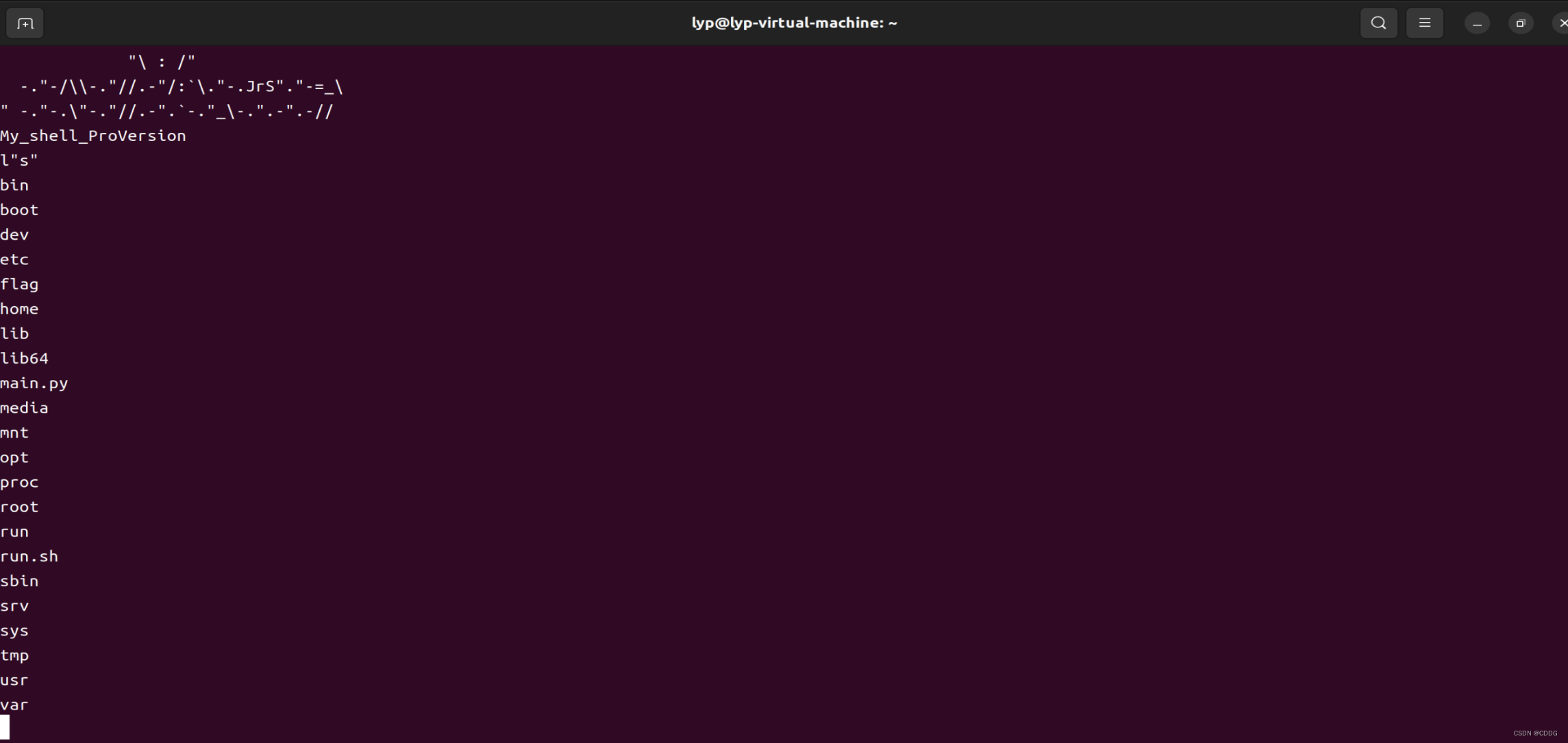 nss_pwn部分题解_[watevrctf 2019]voting machine 2-CSDN博客