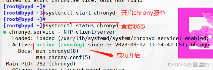 Linux网络服务之DHCP_linux dhcp-CSDN博客