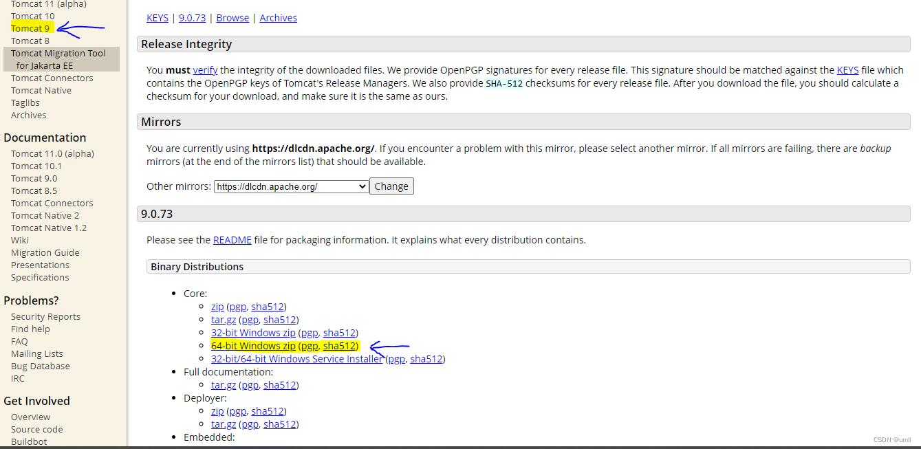 idea中导入maven和Tomcat_idea2022.3怎么导入tomcat-CSDN博客
