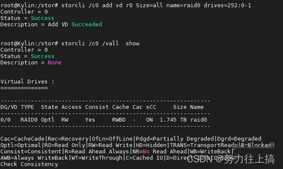 使用storcli/storcli64工具配置RAID-CSDN博客