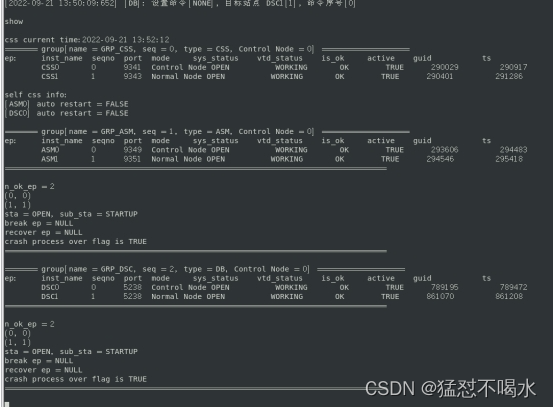 达梦DMDSC集群部署-CSDN博客