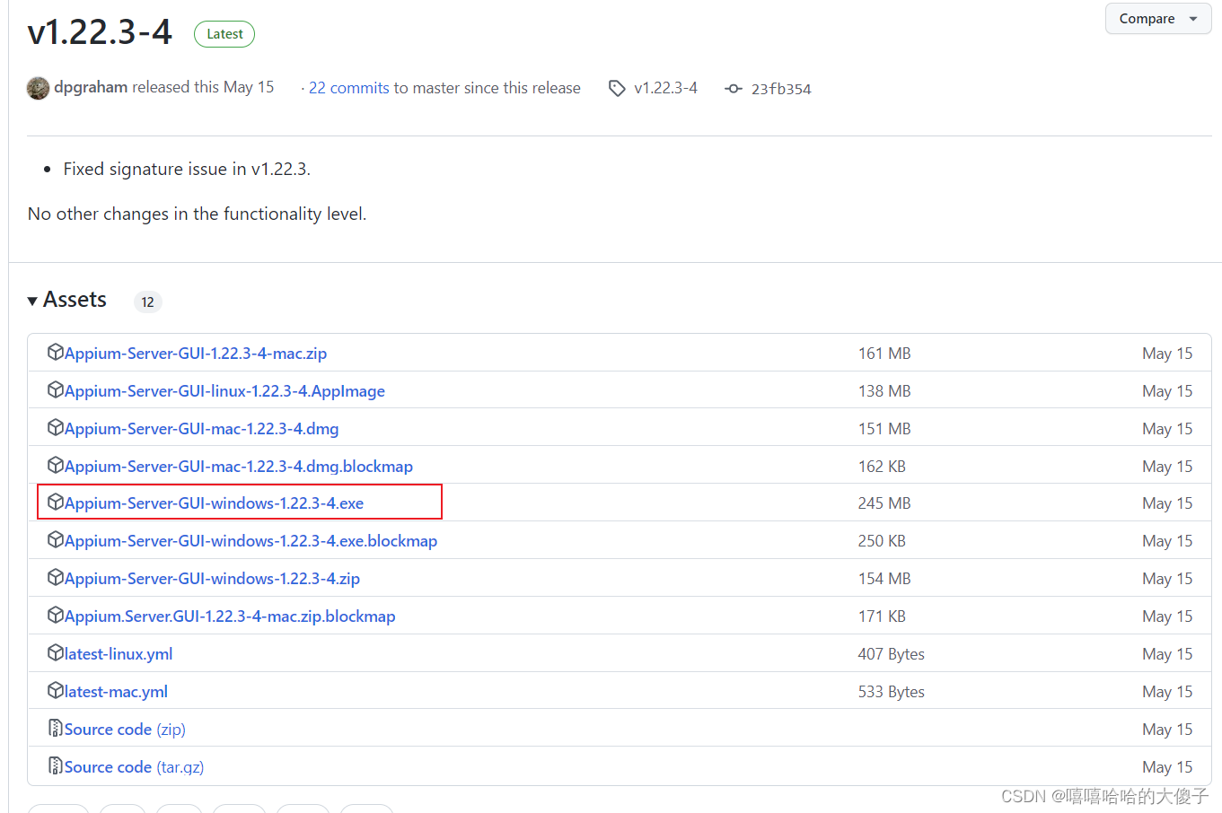 win 安装 appium_appium-server-gui-windows-1.22.3-4.exe-CSDN博客