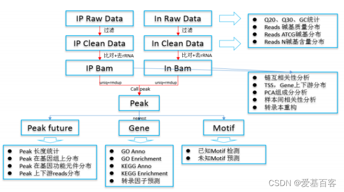 RNA结合蛋白研究技术：RIP-seq实验分析流程及案例分享_rip-seq数据分析-CSDN博客