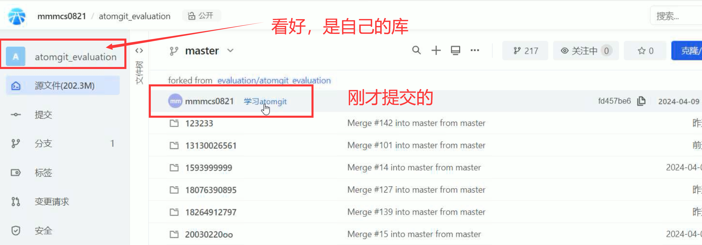 AtomGit 代码托管平台评测赛——完整操作指南_atomgit pages-CSDN博客