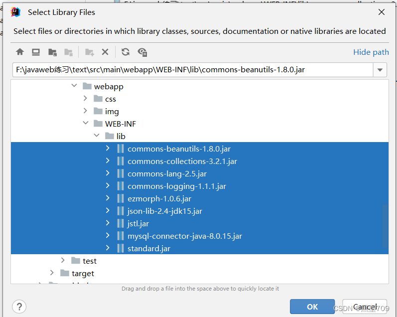 在Web项目中管理Java库：WEB-INF/lib的使用,-CSDN博客